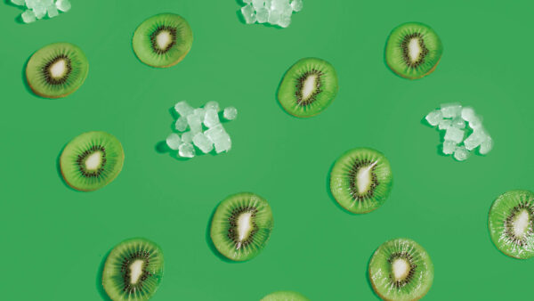 Compact Commercial Ice Dispensers | Icematic Tropical